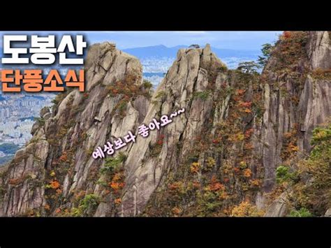 설악산 못 간 아쉬움 여기서 풀었어요 도봉산 단풍 소식 7 51km 5시간 03분 촬영 휴식 포함 YouTube