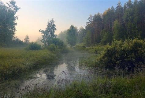 Create Meme Foggy Morning In The Village Morning In The Village
