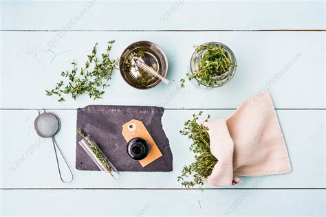 Essential Oil Of Thyme Thymus Vulgaris Stock Image C035 3969
