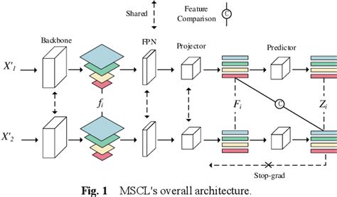 Figure 1 From Multi Scale Contrastive Learning For Human Pose