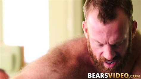 Daddy Bear Brad Kalvo Eats Ginger Ass Before Bareback Eporner