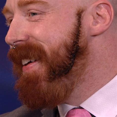 23 Greatest Braided Beard Styles Hood Mwr