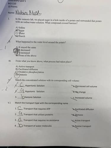 Lab Flashcards Quizlet