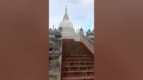 සියලු දෙනාටම සුභ උදෑසනක් වේවා බුදු සරණයි දෙවි පිහිටයි 🙏🇱🇰🙏trending