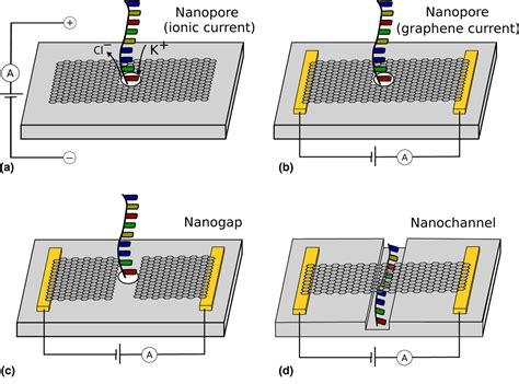 Challenges In Fabricating Graphene Nanodevices For Electronic Dna Sequencing Mrs