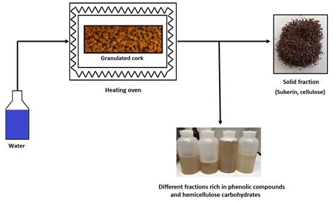Valorization Of Cork Using Subcritical Water