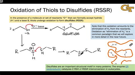 Sulfhydryl Structure