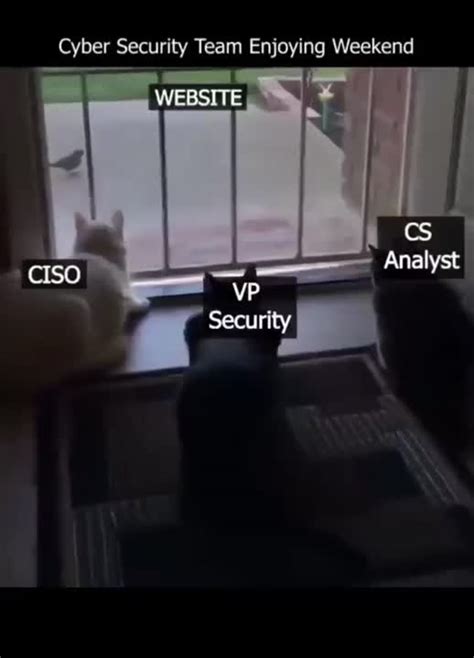 Alexander Lyamin On Linkedin Cybersecurity Cyberattack Websecurity Qratorlabs Humor