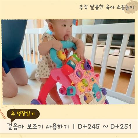 걸음마 보조기 사용하기 8개월 원더윅스 네이버 블로그