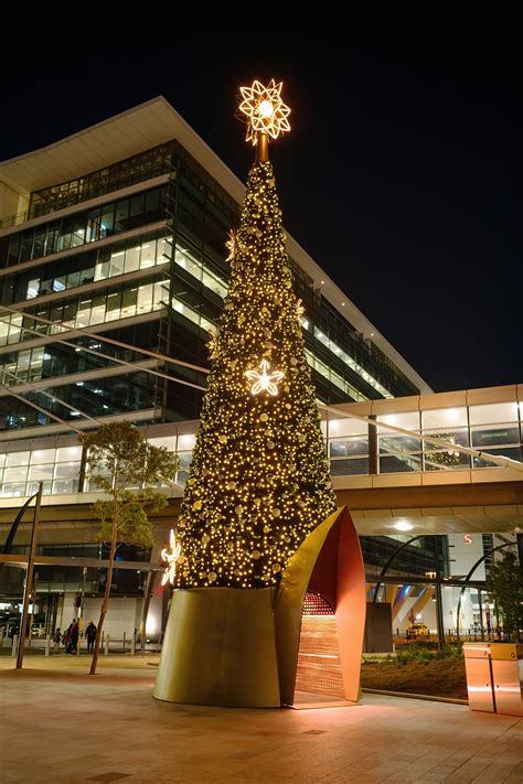 Sydney International Airport Interactive Christmas Tree Chas Clarkson