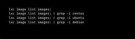 Configure LXD On Ubuntu 20 04 Simple Tutorial