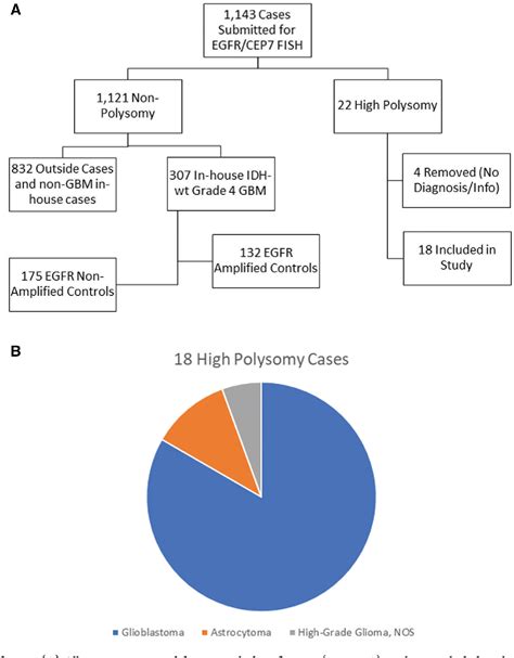 Figure 1 From Egfrcep7 High Polysomy Is Separate And Distinct From