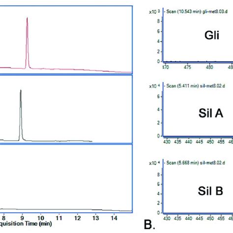 A Chromatograms Obtained By Hplc Dad 300 Nm For The Active Download Scientific Diagram