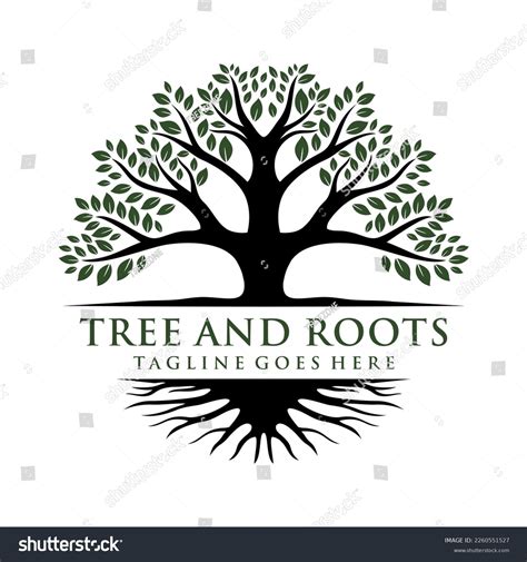 Abstract Tree Roots Logo Design Template Stock Vector Royalty Free