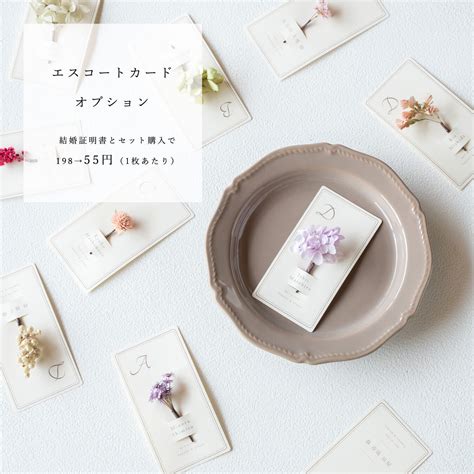 結婚証明書 ヘキサゴン ゲスト参加型 その他