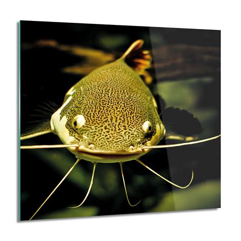 ArtprintCave Obraz Na Szkle Ryba Akwarium Grafika X Cm ArtPrintCave Sklep EMPIK