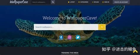 国外10个著名高清壁纸图片网站 知乎 国外10个著名高清壁纸图片网站 知乎