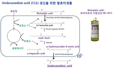 Site Topics 산업부 산업융합원천기술 장쇄 디카르복실산 생산공정 개발