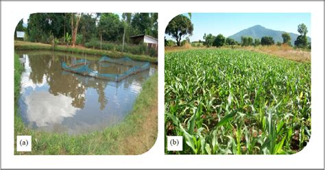 Research Article Water Allocation Using System Dynamic Modelling In The Aquaculture