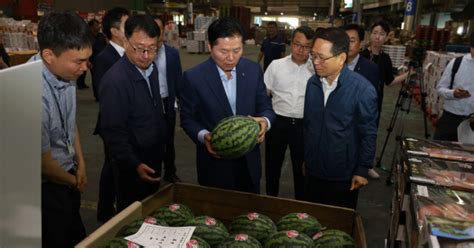 포토 추석 농산물 수급상황 체크