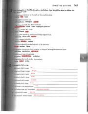 Old Chapter Five Assignment Pdf DIGESTIVE SYSTEM Circle The Bold Term