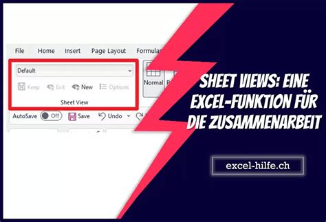 Sheet Views Eine Excel Funktion Für Die Zusammenarbeit Excel Hilfech