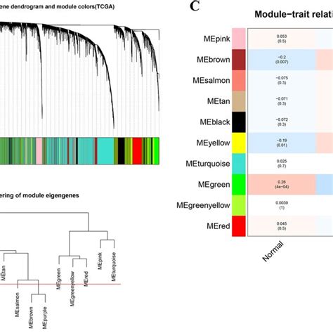 WGCNA Identification Of Cancer Associated MRNA Modules In PC A