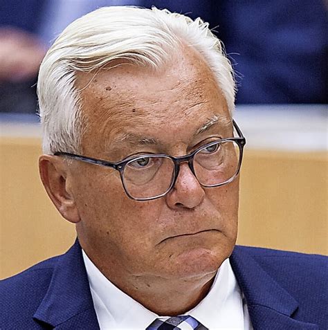 Afd Fraktionschef Tritt Ab Südwest Badische Zeitung