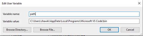 Vscode Tasks Code Is Not Recognized As An Internal Or External