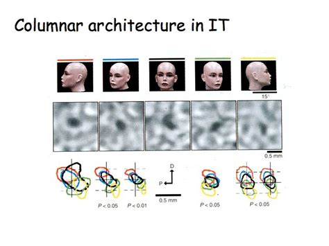 Perception Lecture Notes Recognition