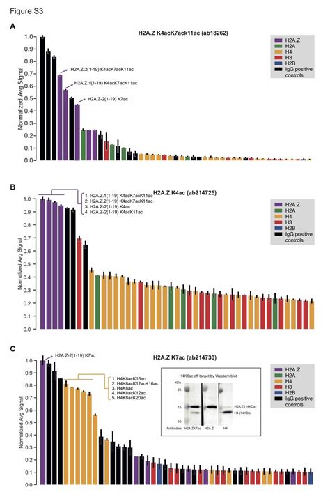 Figure S3 Antibody Validation Using Histone Peptide Microarray Download Scientific Diagram