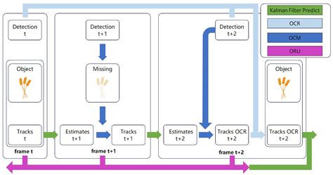 Agriculture Free Full Text Efficient And Lightweight Automatic Wheat Counting Method With