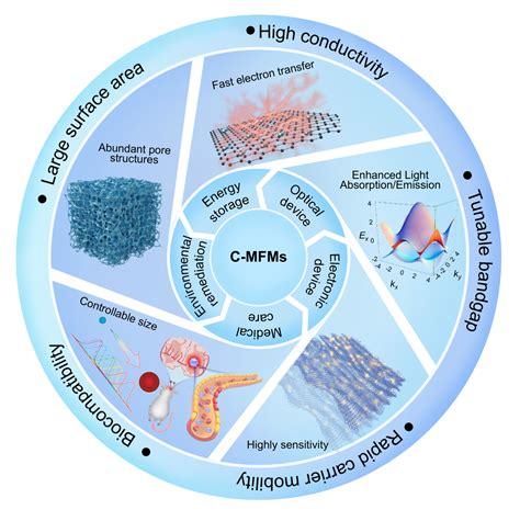 戴黎明院士领衔！河南师范大学武大鹏教授and北京化工大学胡传刚教授acs Nano：杂原子掺杂碳材料及其在多功能非催化领域的应用 知乎