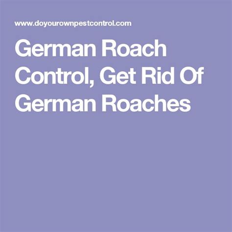 How To Get Rid Of German Cockroaches Top Tips Diy Pest Control