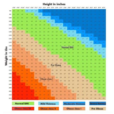 BMI Chart For Adults FindBMI Net