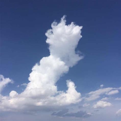 删除跟进成员事件没有回调？ 开发者社区 企业微信开发者中心