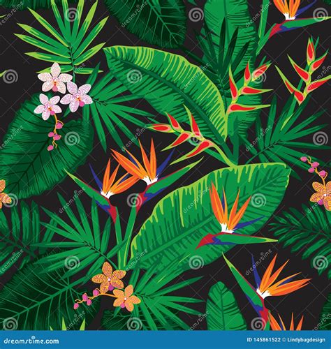 Teste Padr o Floral Da Selva Tropical Sem Emenda Ilustração Stock
