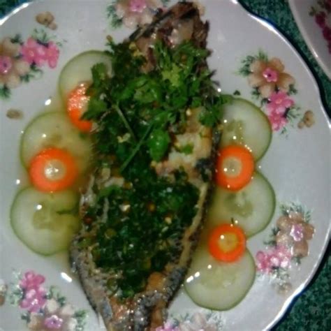 ဟင္းခ်က္နည္းမ်ိဳးစံု