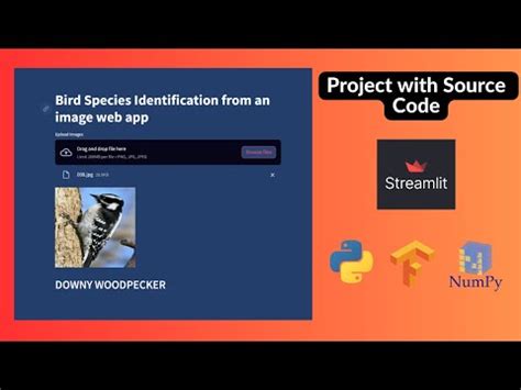 Image Based Bird Species Identification Using Machine Learning