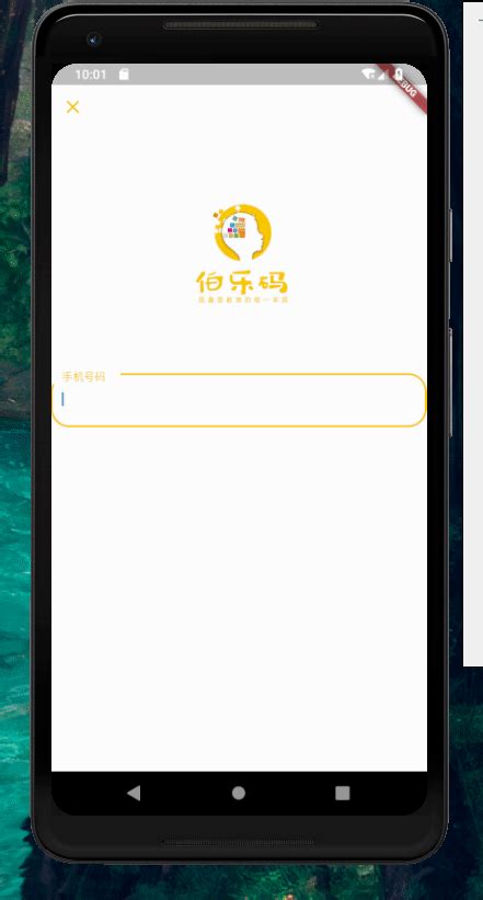 Form Input Not Open Issue Flutter Flutter GitHub