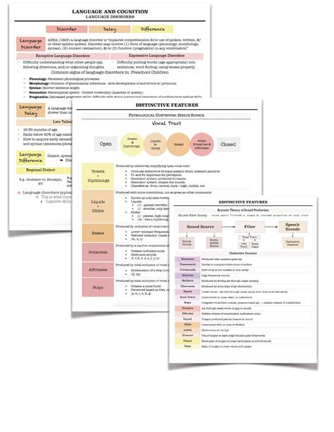 Speech Language Pathology Slp Praxis Study Guide Medical Slps