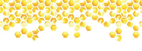 Bee Border Vector Art Icons And Graphics For Free Download