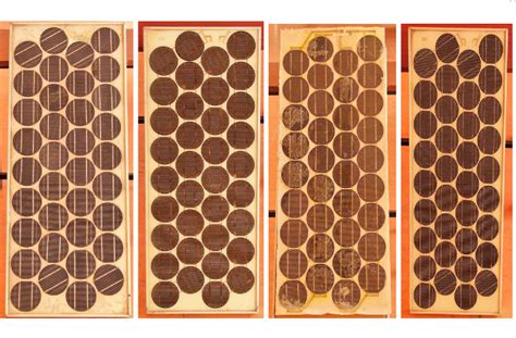 Figure 2 From Automatic Detection Of Visual Faults On Photovoltaic Module Using Deep Ensemble