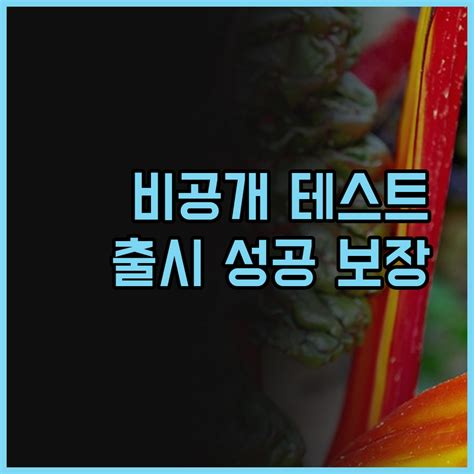 구글 플레이 비공개 테스트 20명 테스터가 앱 출시 성공을 보장합니다 구글 플레이 비공개 테스트 20명 테스터가 앱 출시 성공을 보장합니다