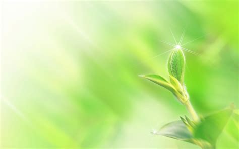 Hình Nền Xanh ️ Top 100 Background Màu Xanh Đẹp Nhất