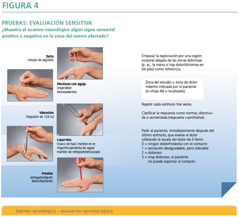Herramienta De Detección De Dolor Neuropático Localizado Algoritmo De