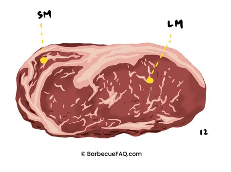 What Is Prime Rib Roast Location Types And More Barbecue Faq