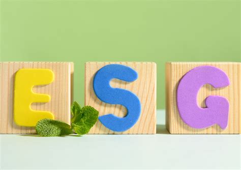 Meglio Parlare Di Innovazione Sostenibile Che Di Criteri ESG MD