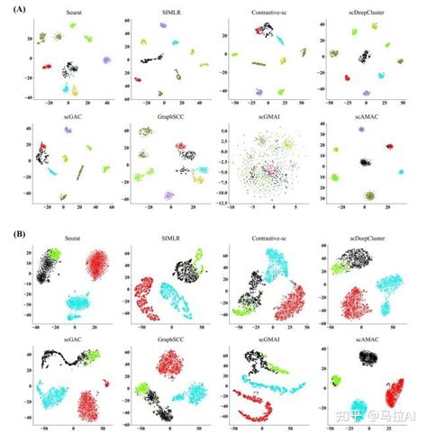 多尺度注意力：nature中科院一区？还不是手到擒来！！ 知乎