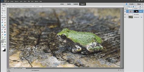 7 Best GIMP Alternatives In 2022 Free And Paid Options